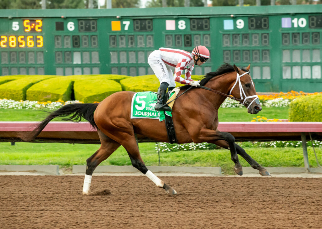 Kentucky Derby Horse Profile: Journalism | News | Kentucky Derby