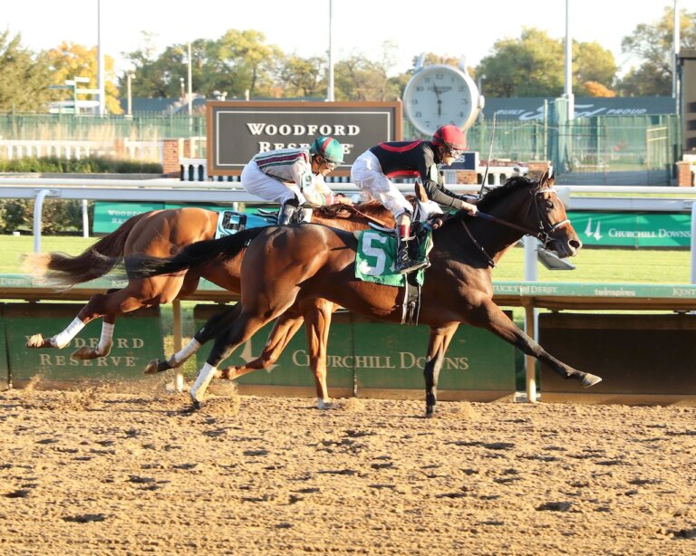 Kentucky Derby Horses | Kentucky Derby