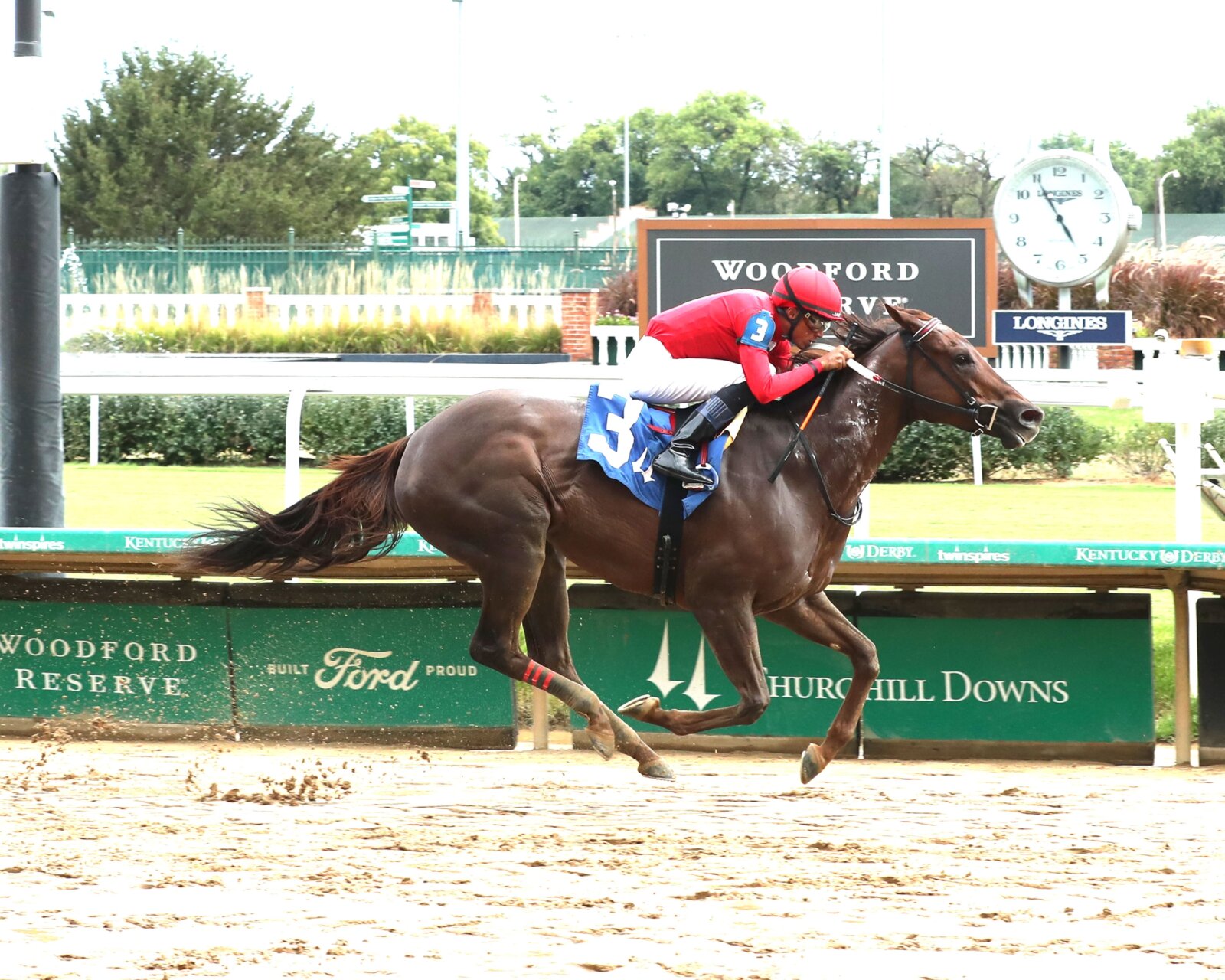 Expert Pick of the Week: 2024 Nelson J. Menard Memorial Stakes Exacta ...
