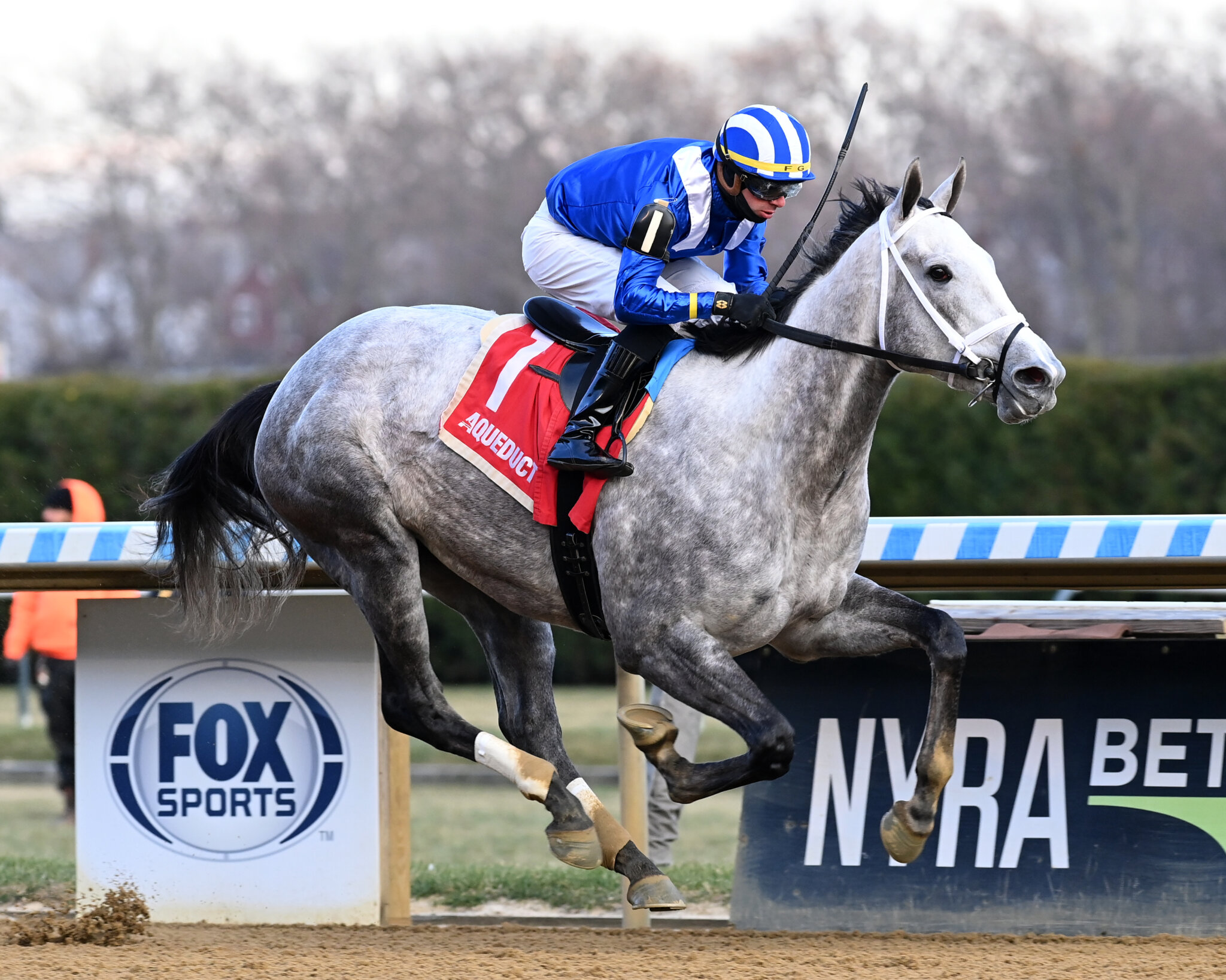 Oaks Horses | Kentucky Derby
