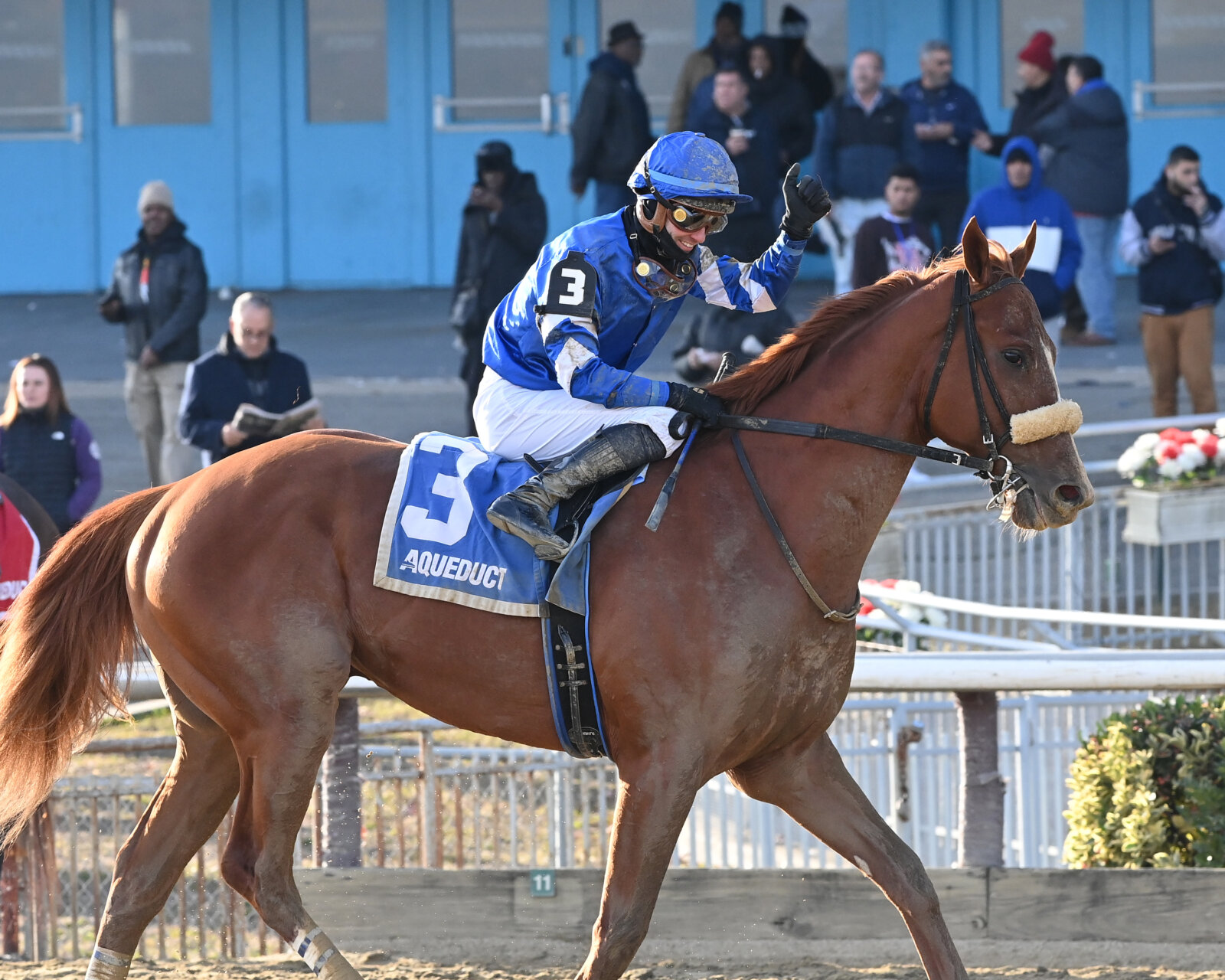 Study Guide: 2025 Sam F. Davis Stakes | News | Kentucky Derby