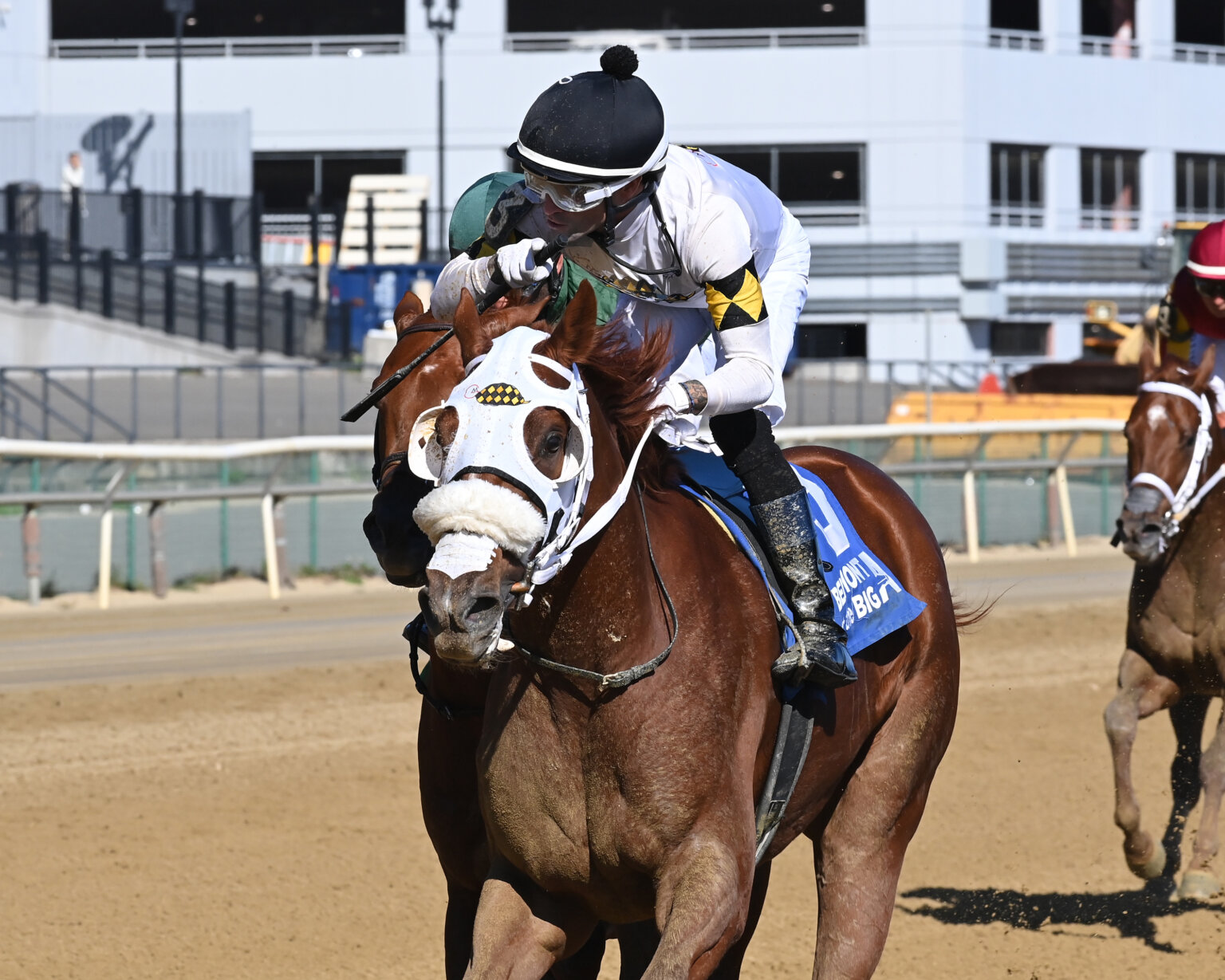 Study Guide: 2025 Virginia Derby | News | Kentucky Derby