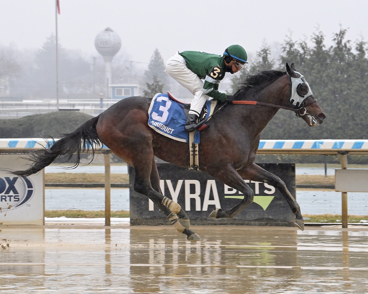 Study Guide: 2025 Withers Stakes | News | Kentucky Derby