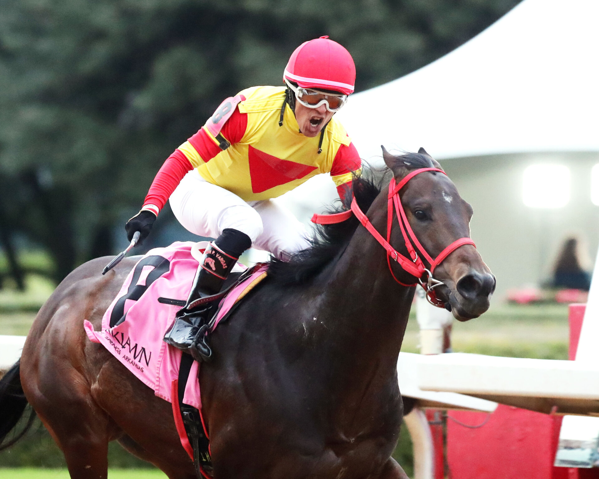 Coal Battle, Cornucopian top Arkansas Derby; Simply Joking, Quietside ...