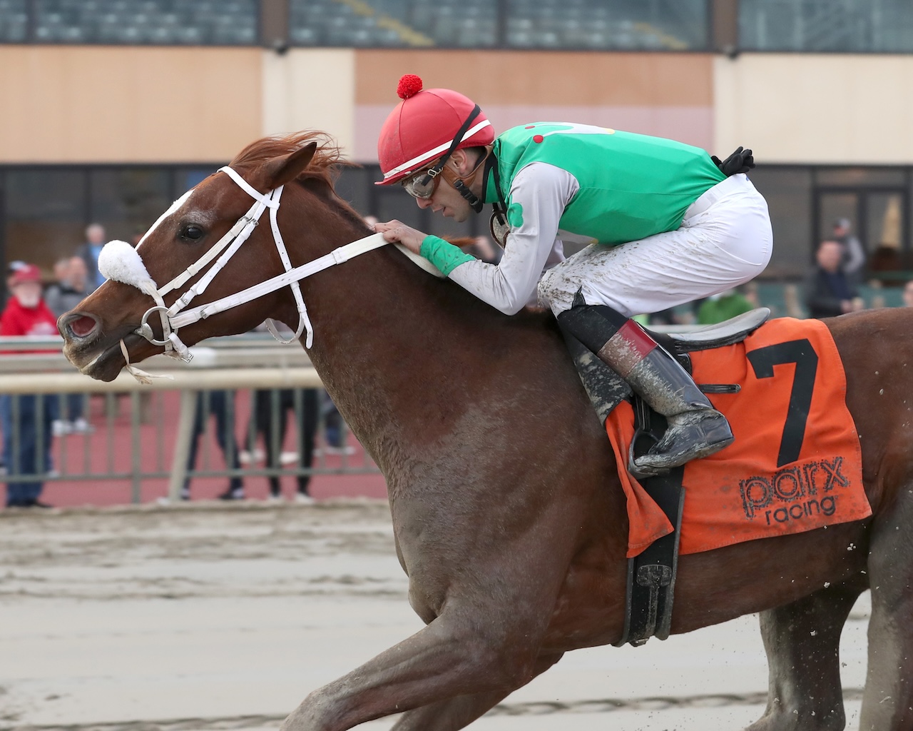 Study Guide: 2025 Withers Stakes | News | Kentucky Derby