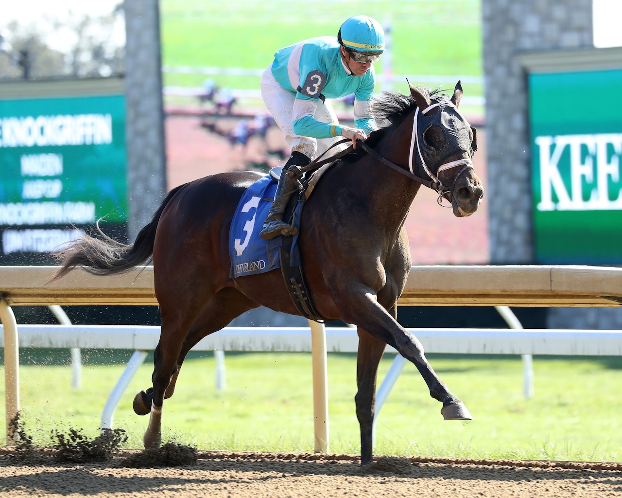 Study Guide: 2025 Withers Stakes | News | Kentucky Derby