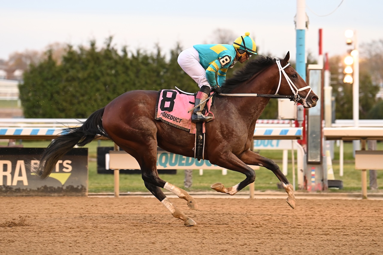 Study Guide: 2025 Virginia Derby | News | Kentucky Derby