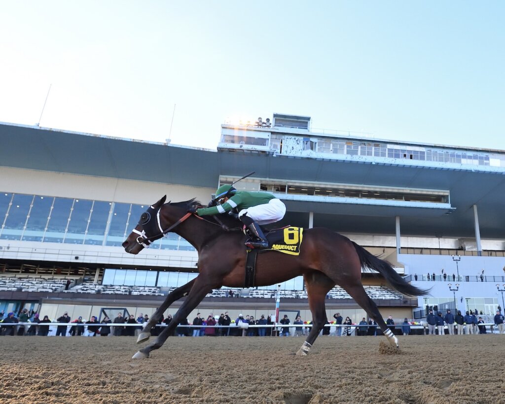 Kentucky Derby Horse Profile: Captain Cook | News | Kentucky Derby