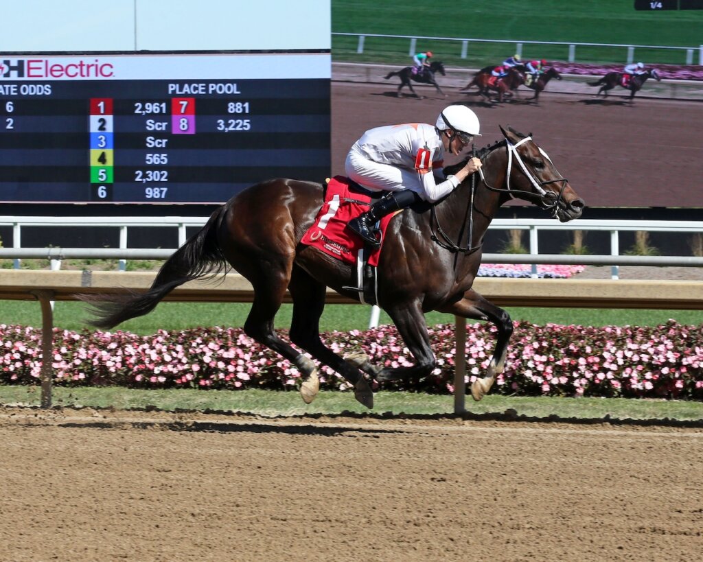 Study Guide: 2025 Indiana Derby | News | Kentucky Derby