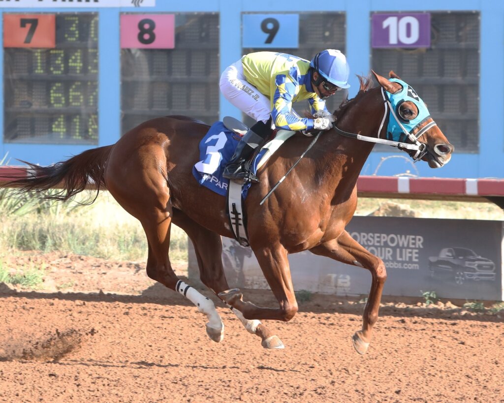 Study Guide: 2025 Sunland Park Derby | News | Kentucky Derby