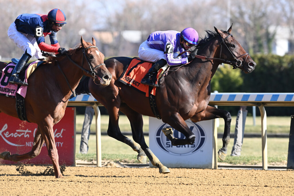 Study Guide: 2025 Sam F. Davis Stakes | News | Kentucky Derby