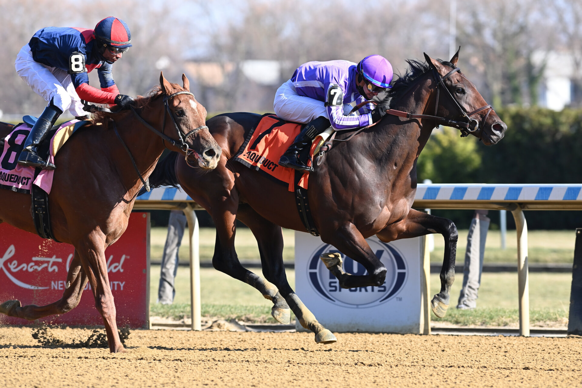 Study Guide: 2025 Sam F. Davis Stakes | News | Kentucky Derby