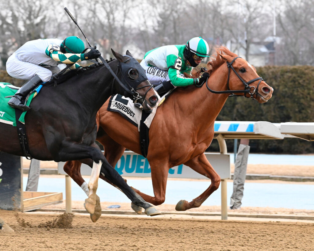 Looking Ahead: Sand Devil and My Mitole Highlight Gotham Stakes | News ...