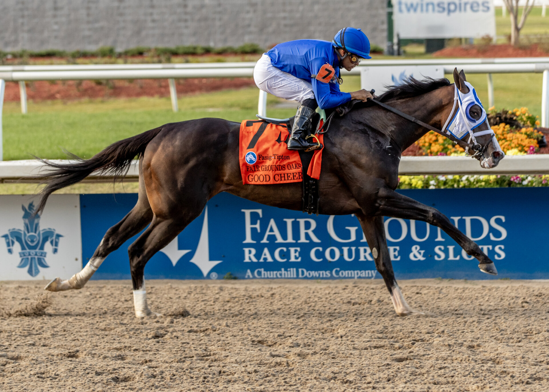 Study Guide: 2025 Kentucky Oaks | News | Kentucky Derby