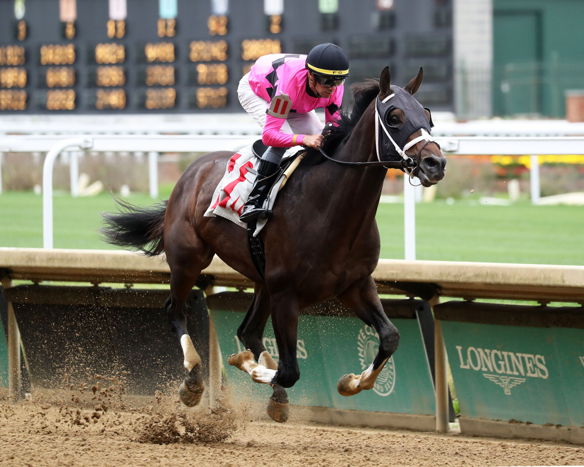 Study Guide: 2025 Indiana Derby | News | Kentucky Derby