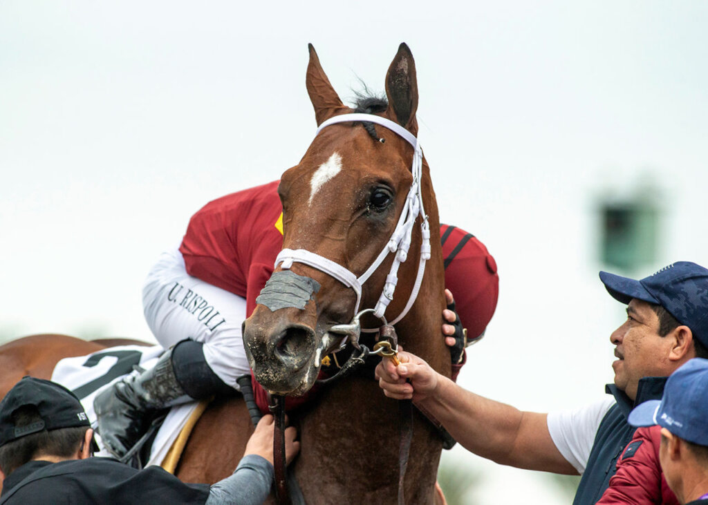 Inside the Kentucky Derby: Championship Series Recaps & Derby Field ...