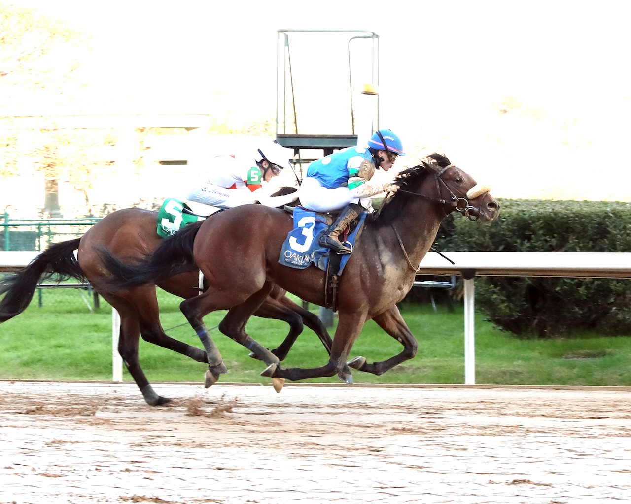 Study Guide: 2025 Arkansas Derby | News | Kentucky Derby