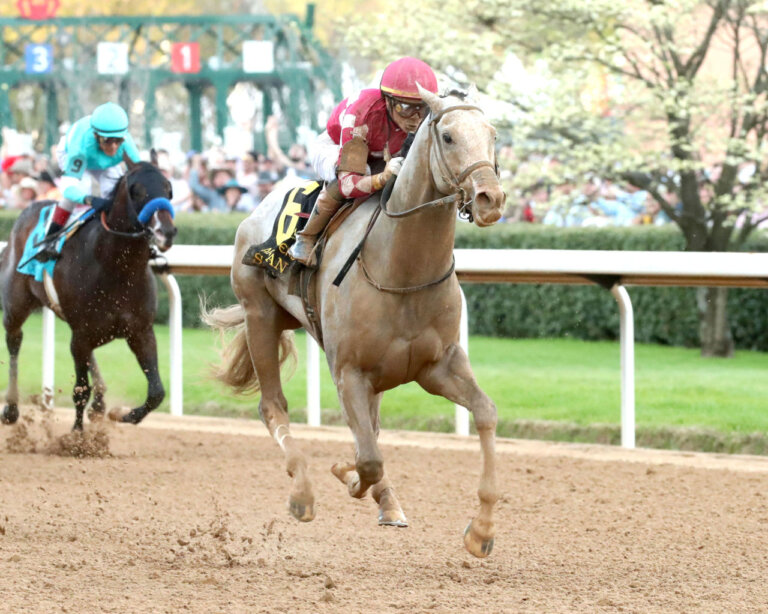 Kentucky Derby Horse Profile: Sandman | News | Kentucky Derby