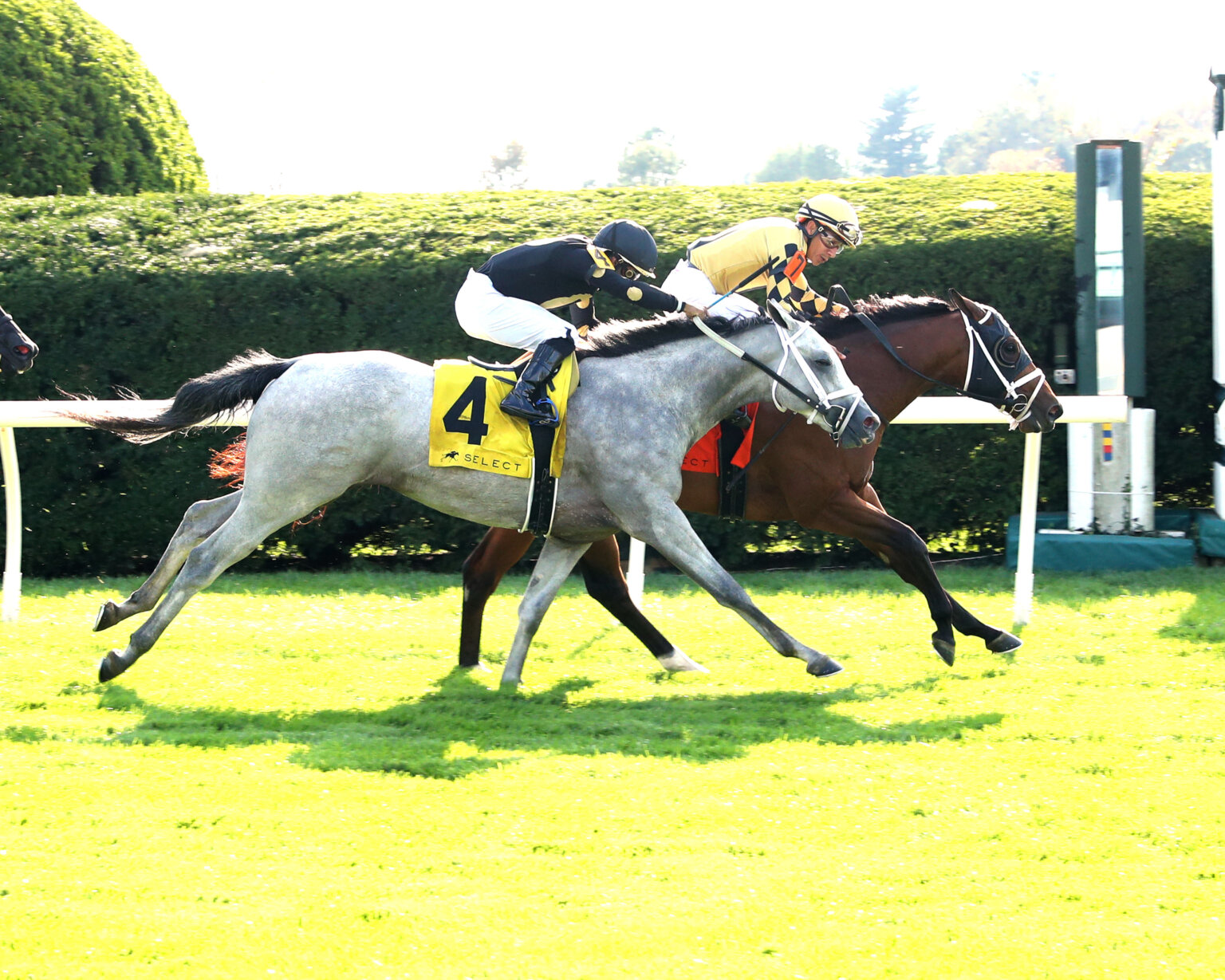 Churchill Downs Stakes Advances: Winsday's William Walker and Isaac ...
