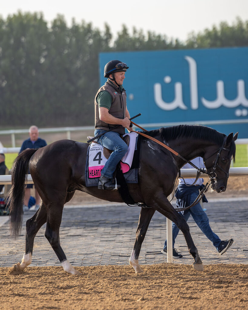 Study Guide: 2025 UAE Derby | News | Kentucky Derby