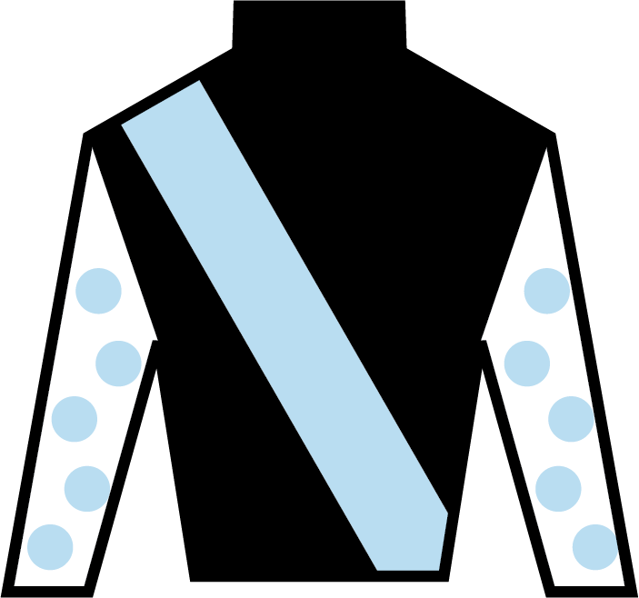 Journalism | Horses | Kentucky Derby Horse Information