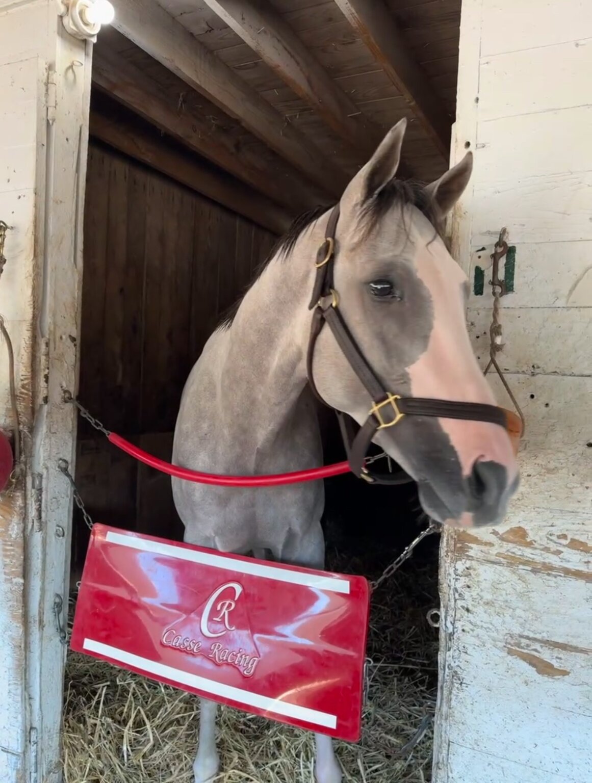 Kentucky Derby Update: Arkansas Derby Winner Sandman Arrives at ...