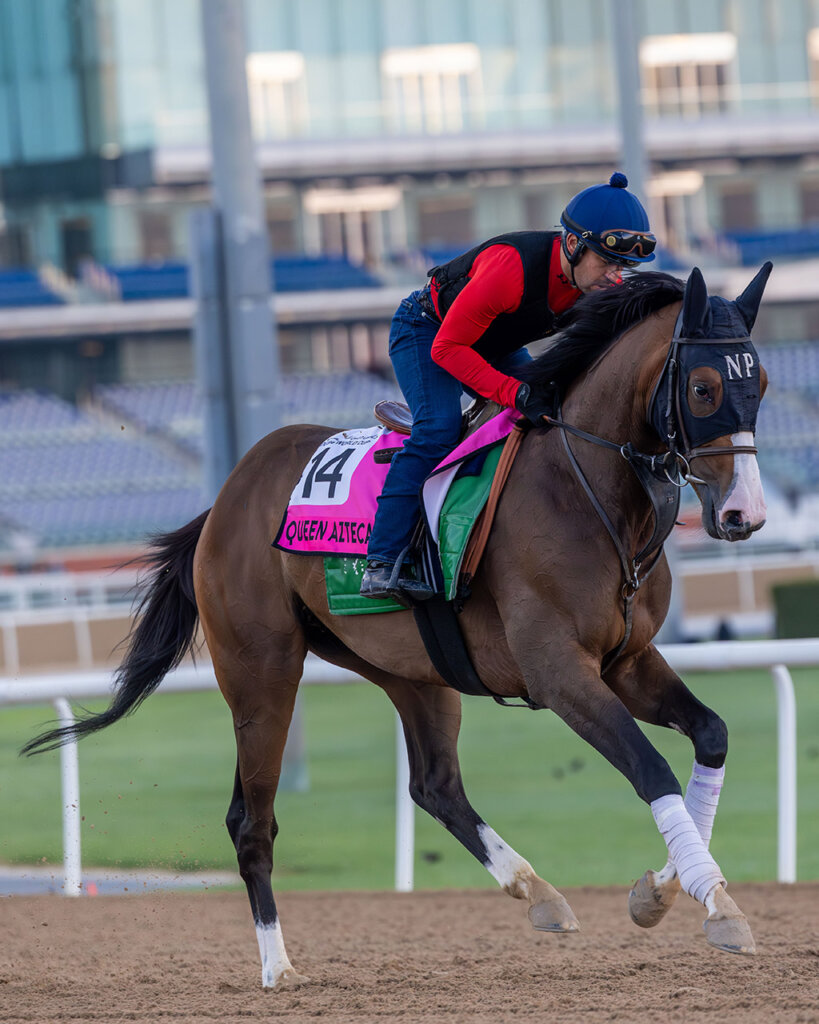 Study Guide: 2025 Alabama Stakes | News | Kentucky Derby