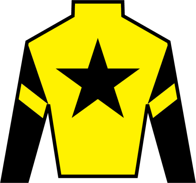 Sandman | Horses | Kentucky Derby Horse Information