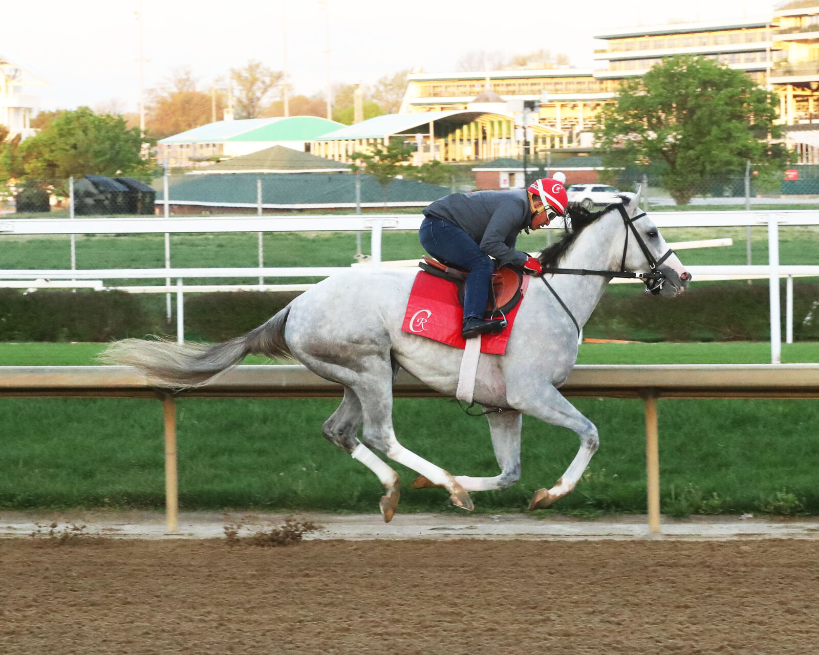 Study Guide: 2025 Jim Dandy Stakes | News | Kentucky Derby