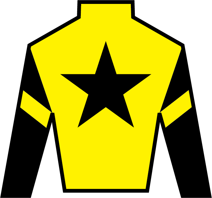 Sandman | Horses | Kentucky Derby Horse Information