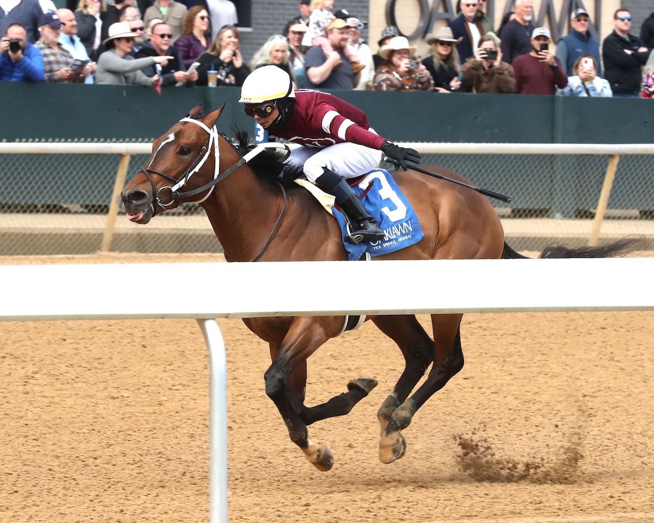 Study Guide: 2025 Preakness Stakes | News | Kentucky Derby