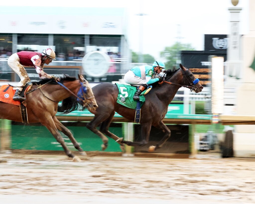 Study Guide: 2025 Haskell Stakes | News | Kentucky Derby