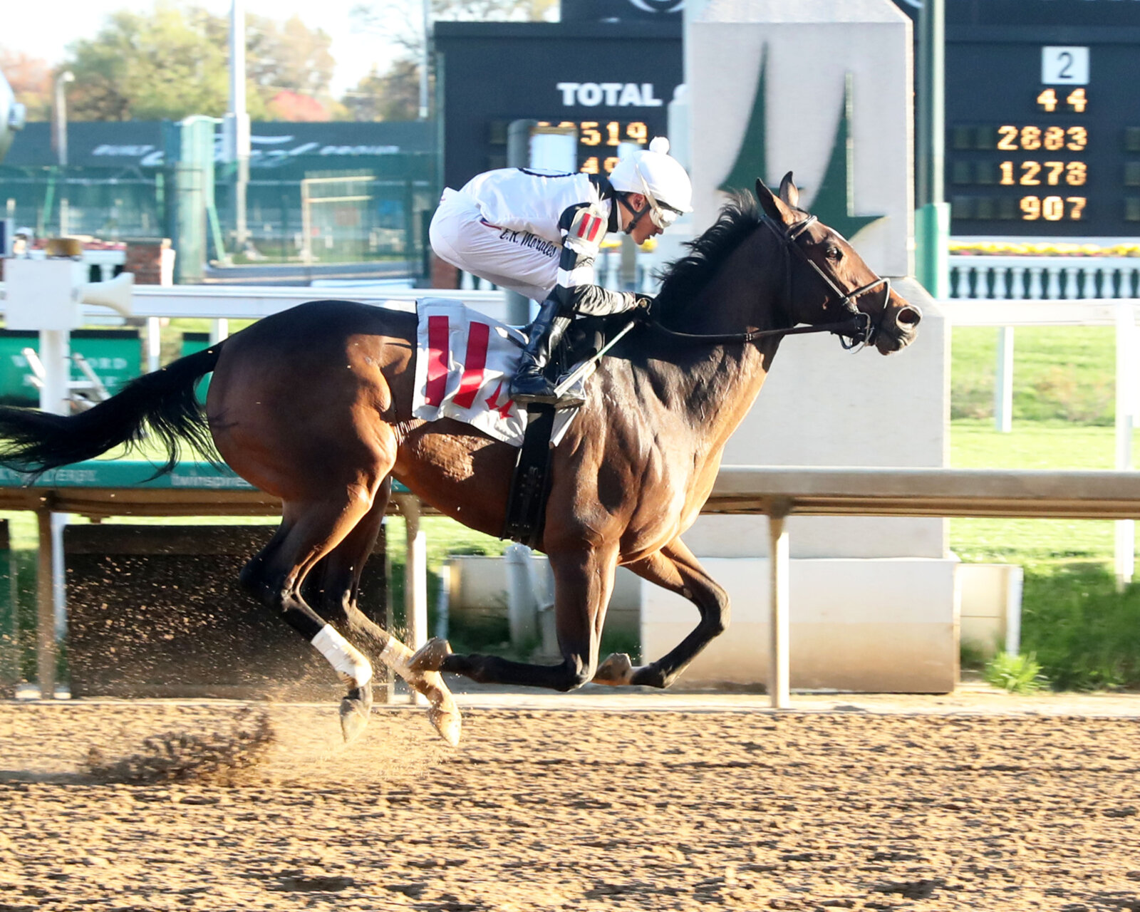 Study Guide: 2025 Winning Colors Stakes | News | Kentucky Derby