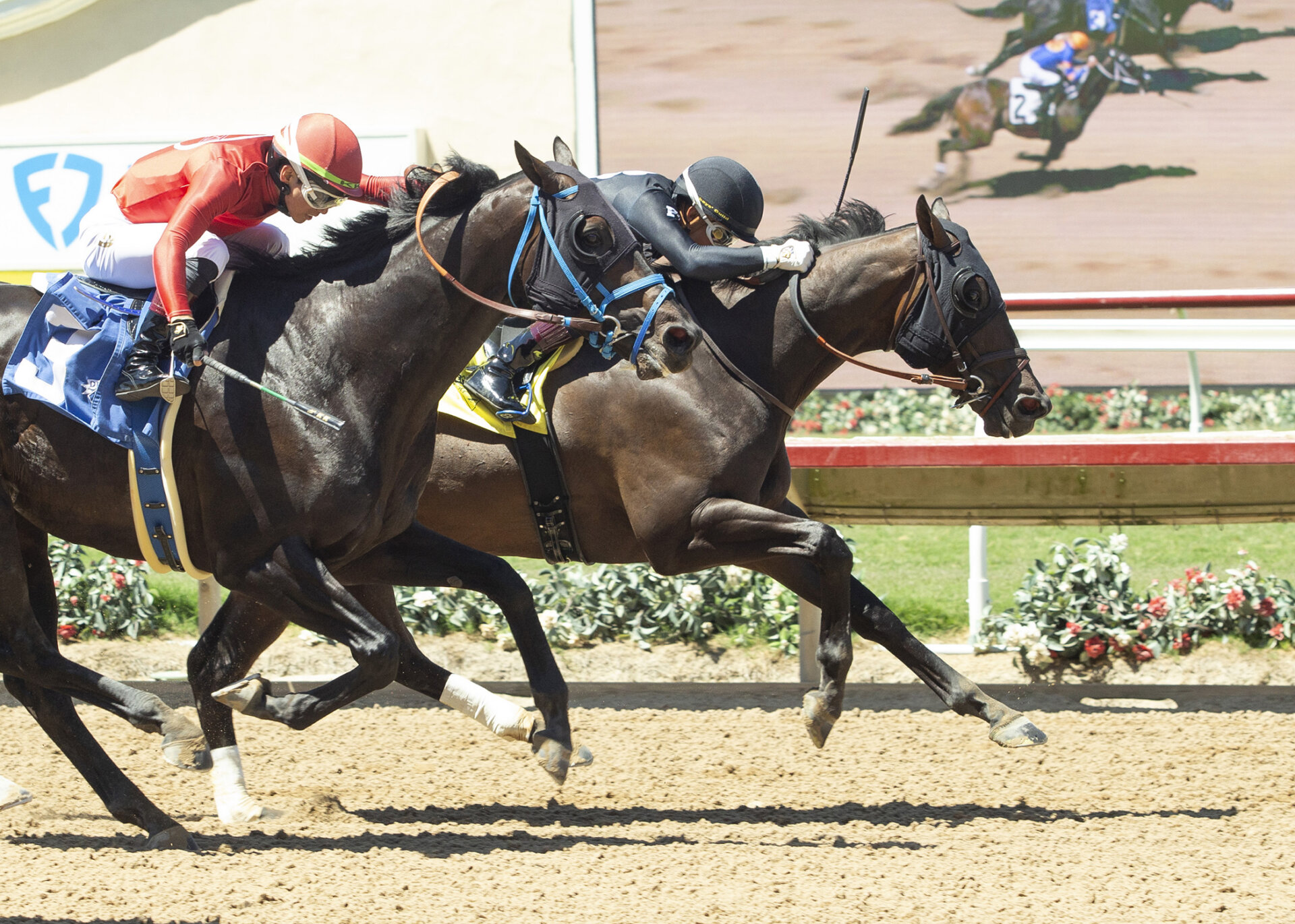 LIVE Pacific Classic 2025: Del Mar Expert Picks, Fierceness, Journalism ...