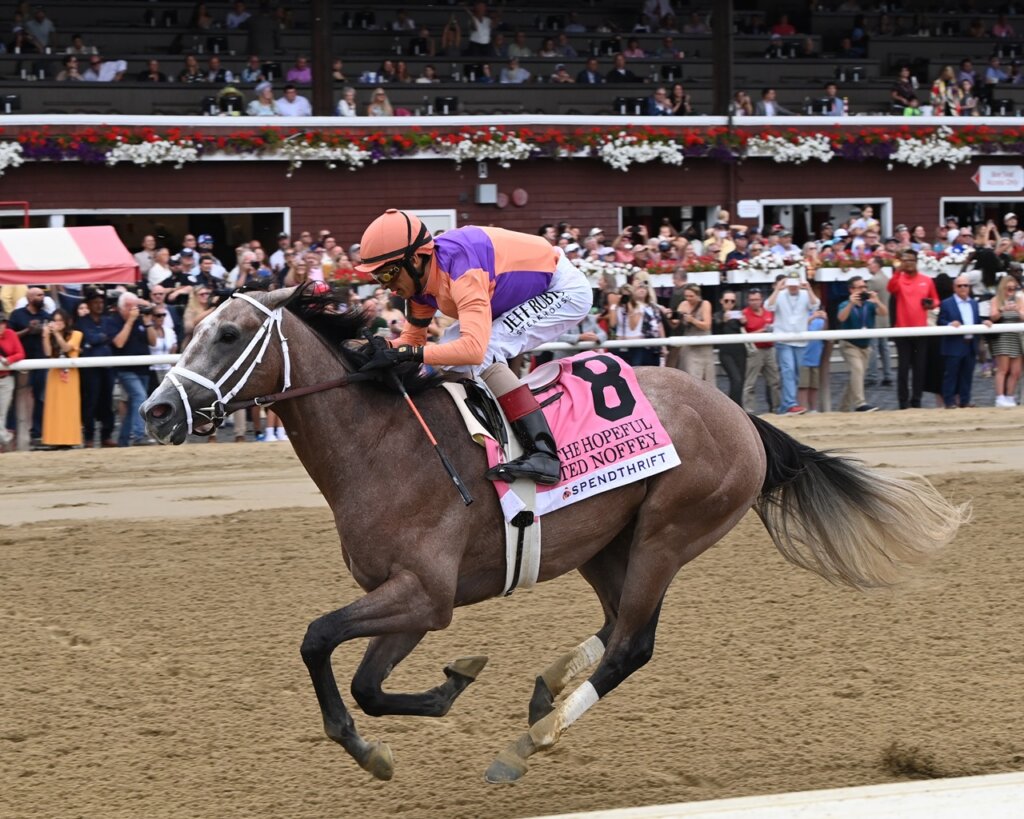 Study Guide: 2025 Breeders’ Futurity | News | Kentucky Derby