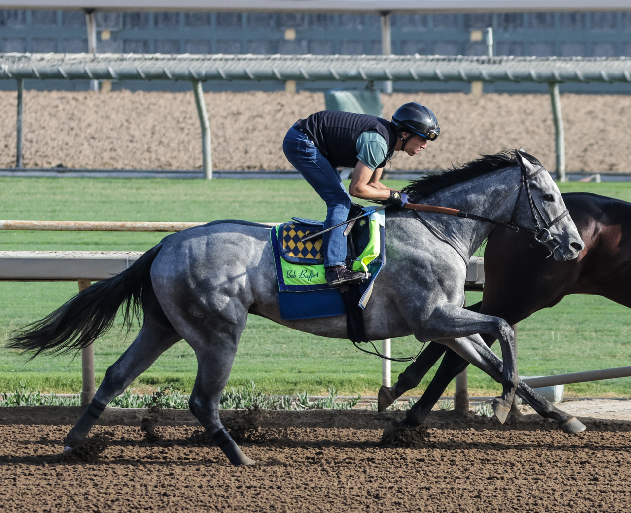 Brant | Horses | Kentucky Derby