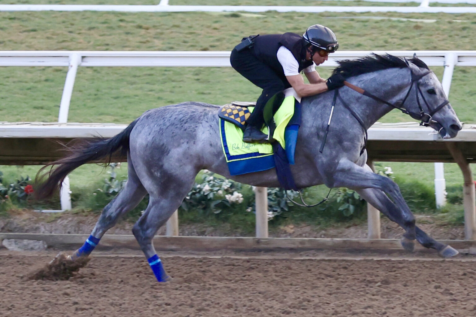 Feeling the Derby Power: Kentucky Derby Power Rankings 2025 [Nov. 3 ...