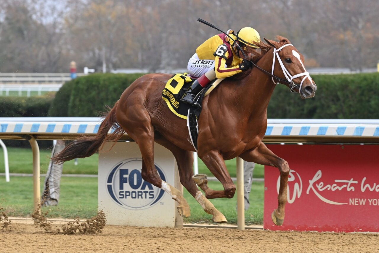 Study Guide: 2025 Remsen Stakes | News | Kentucky Derby