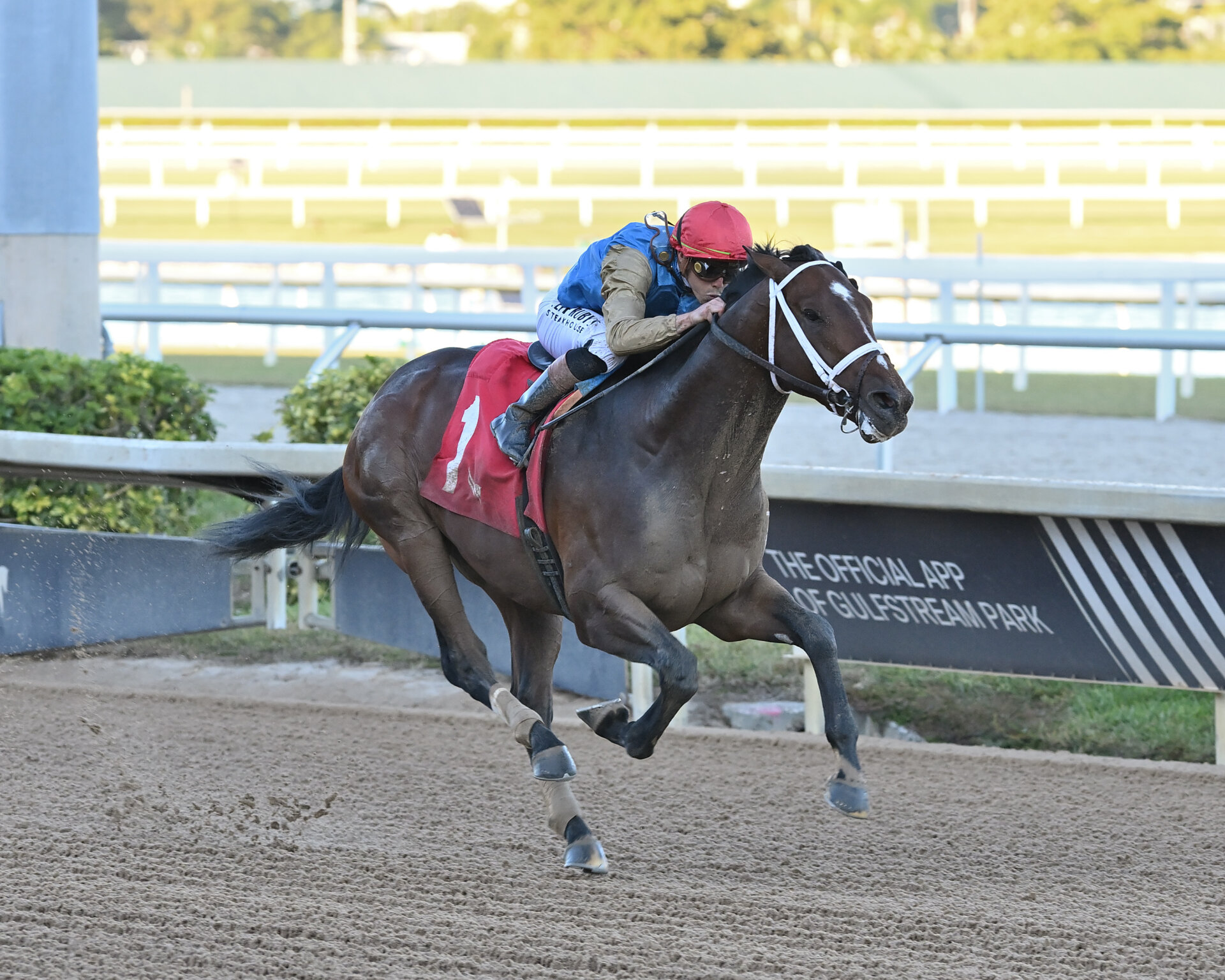 Study Guide: 2026 Kentucky Derby | News | Kentucky Derby