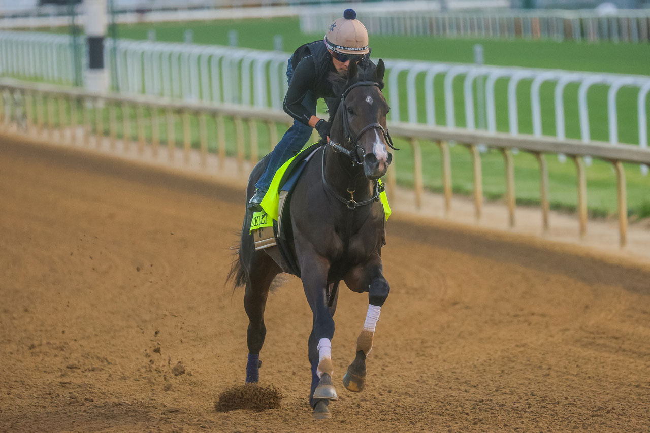 Study Guide: 2026 Preakness Stakes | News | Kentucky Derby