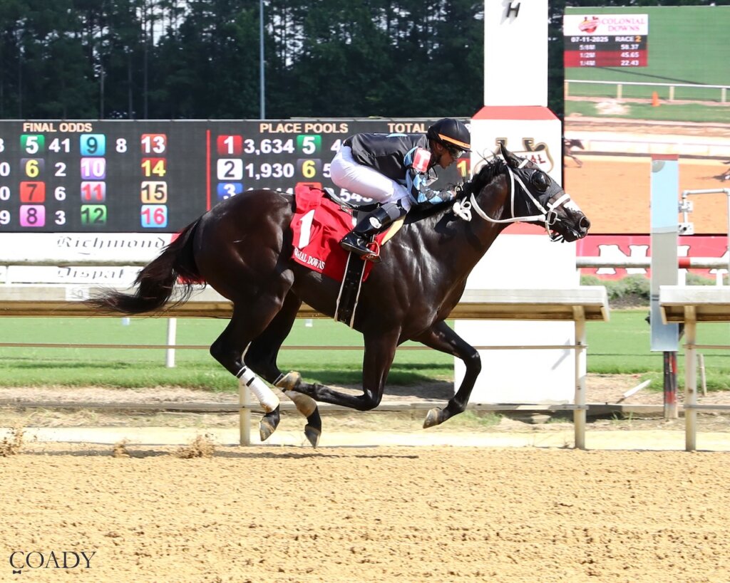 Study Guide: 2026 Sam F. Davis Stakes | News | Kentucky Derby