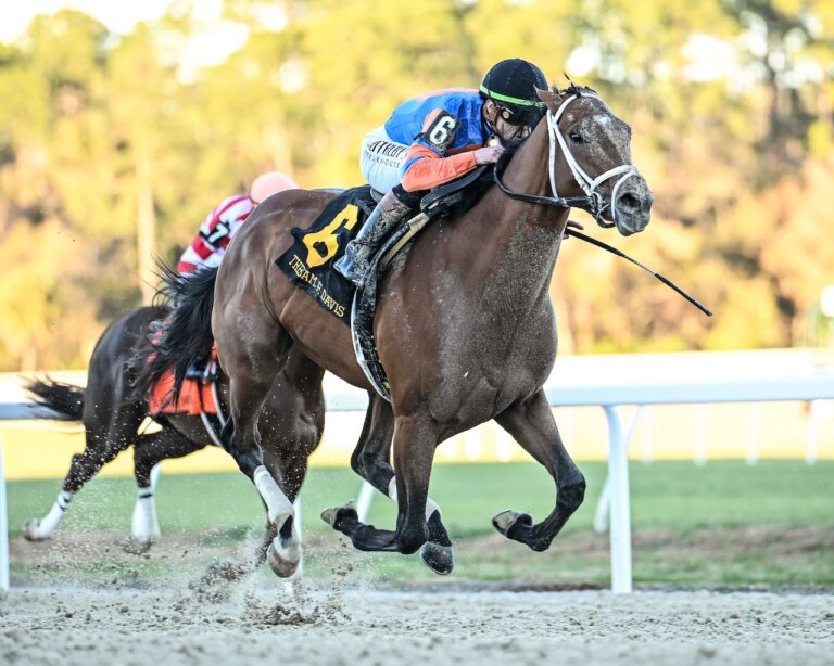 Kentucky Derby Horse Profile: Renegade | News | Kentucky Derby