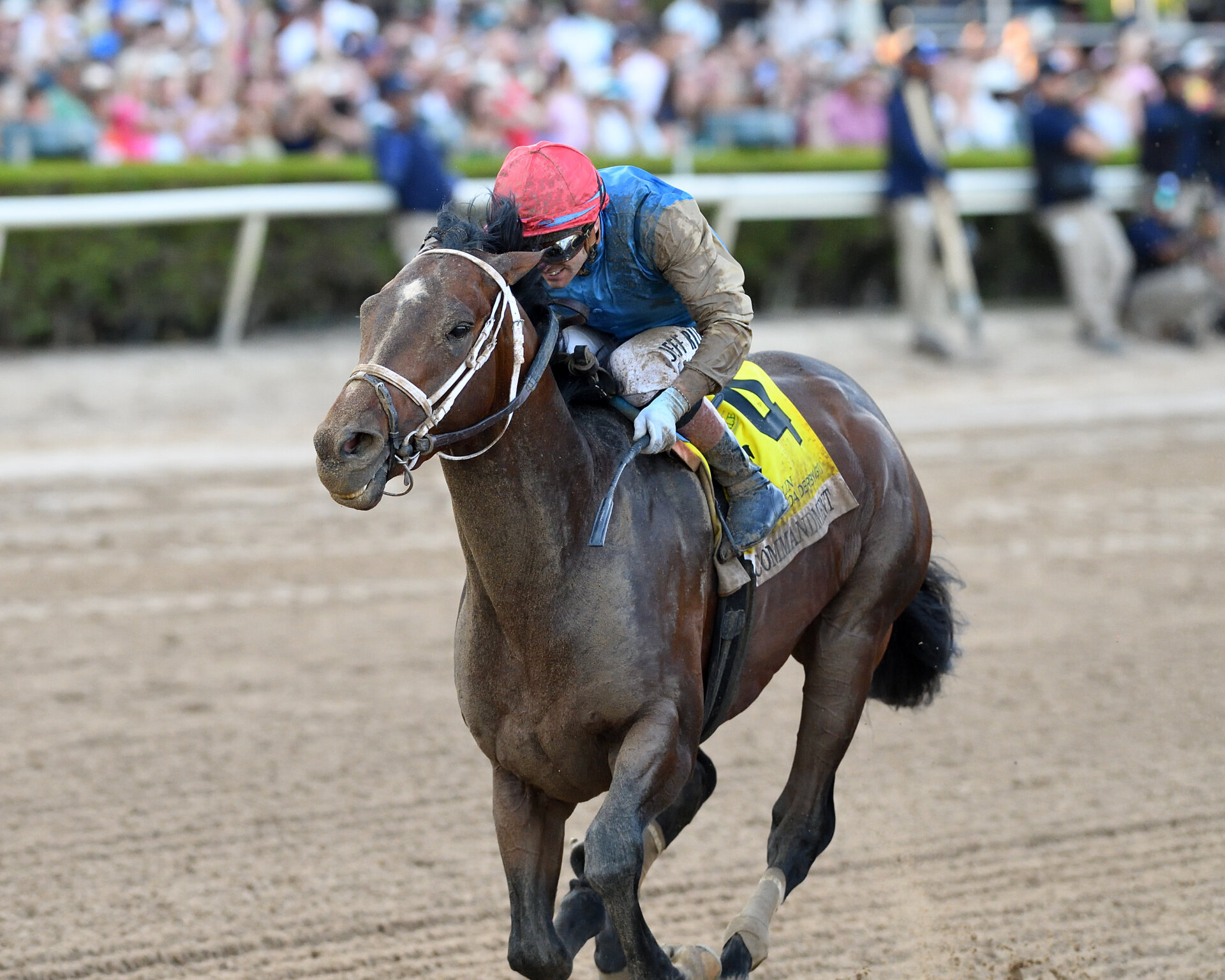 Kentucky Derby and Oaks Power Rankings: How the rankings have developed ...