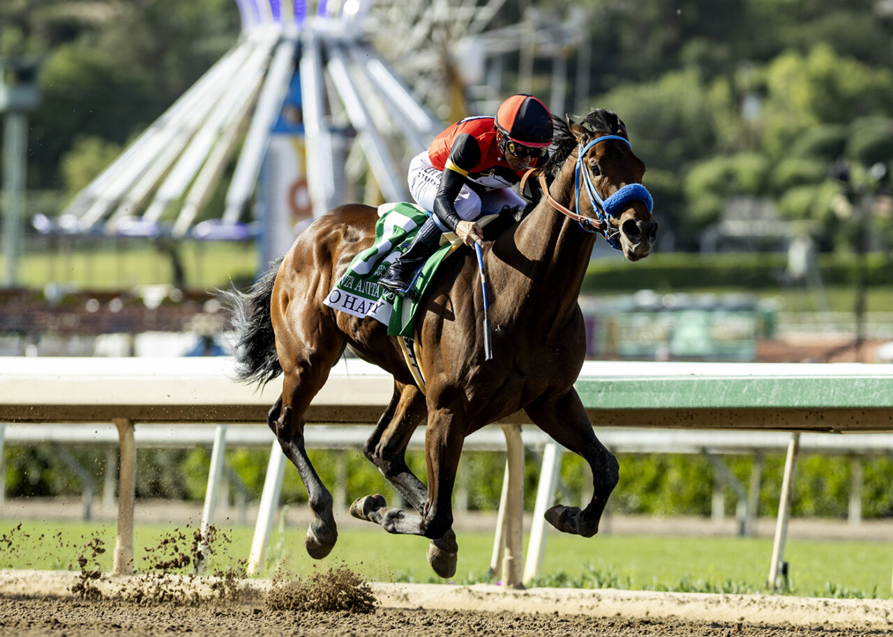 LIVE 2026 Santa Anita Derby: Final Derby Points on the Line at ...