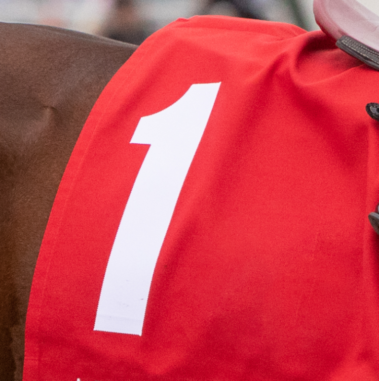A Complete Guide On How to Bet on Horses for Beginners
