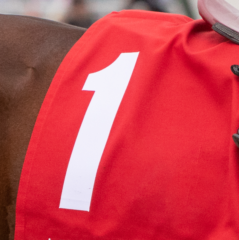 A Complete Guide On How to Bet on Horses for Beginners