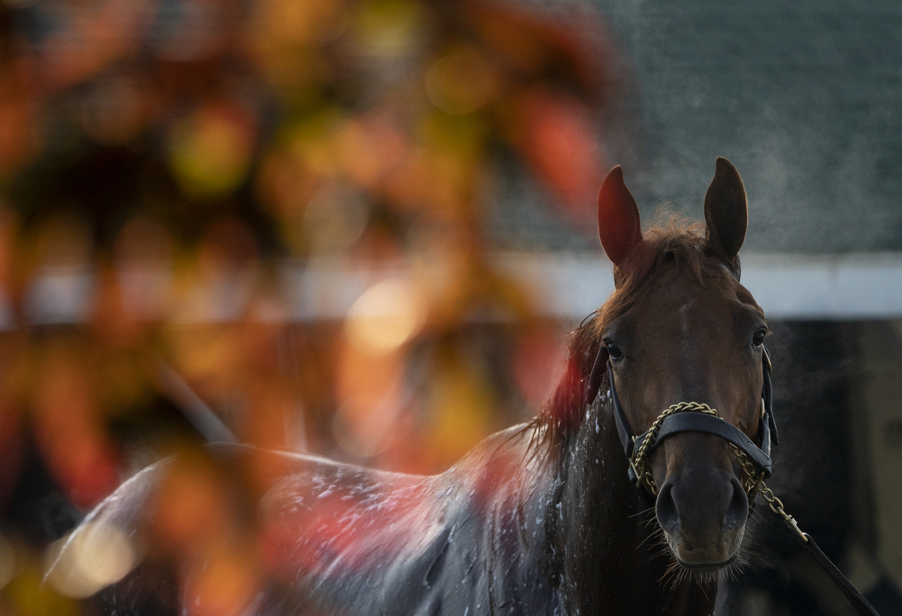 Calendar Events | Churchill Downs