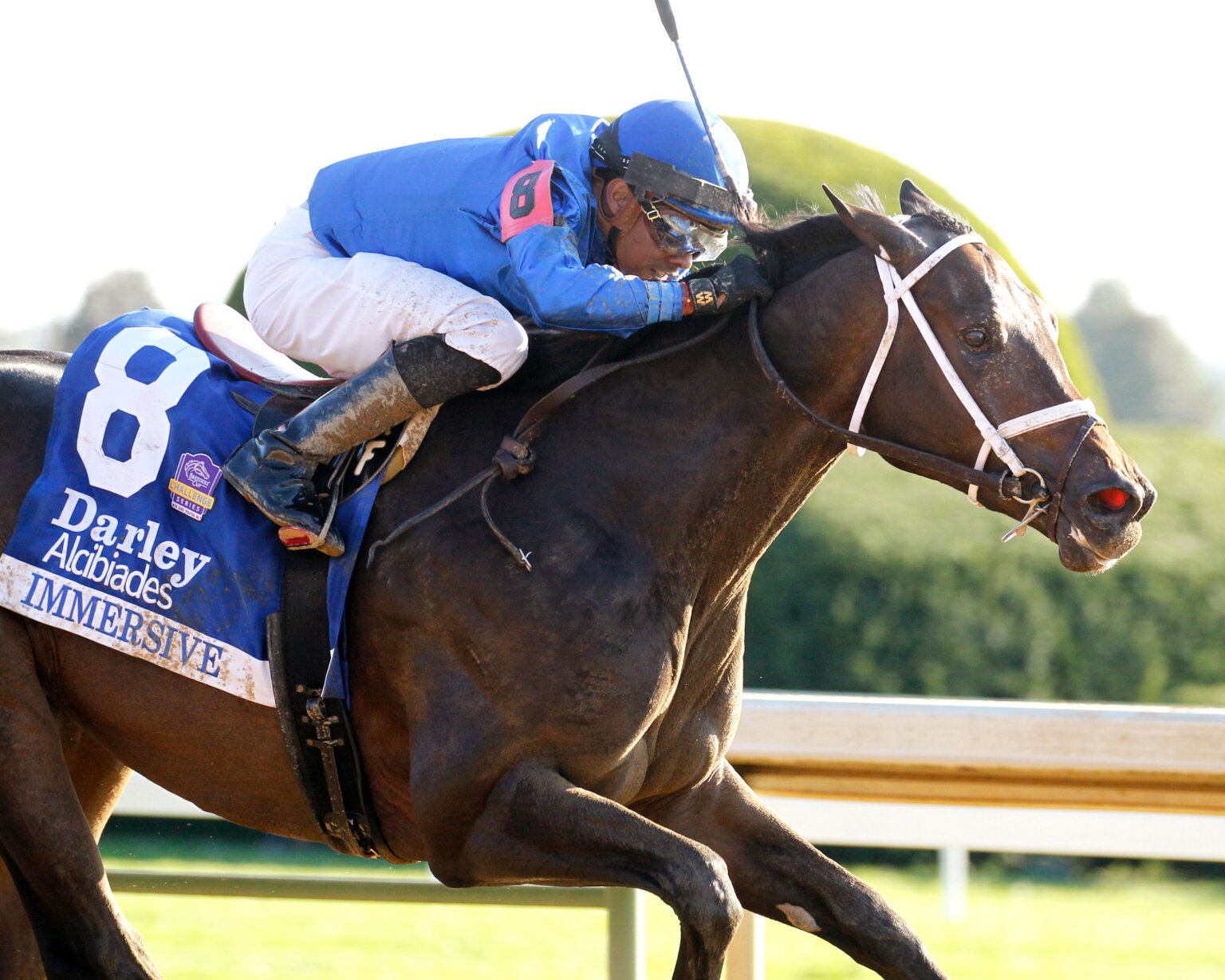 Churchill Downs Stakes Advances and Update: Champion Filly Immersive ...