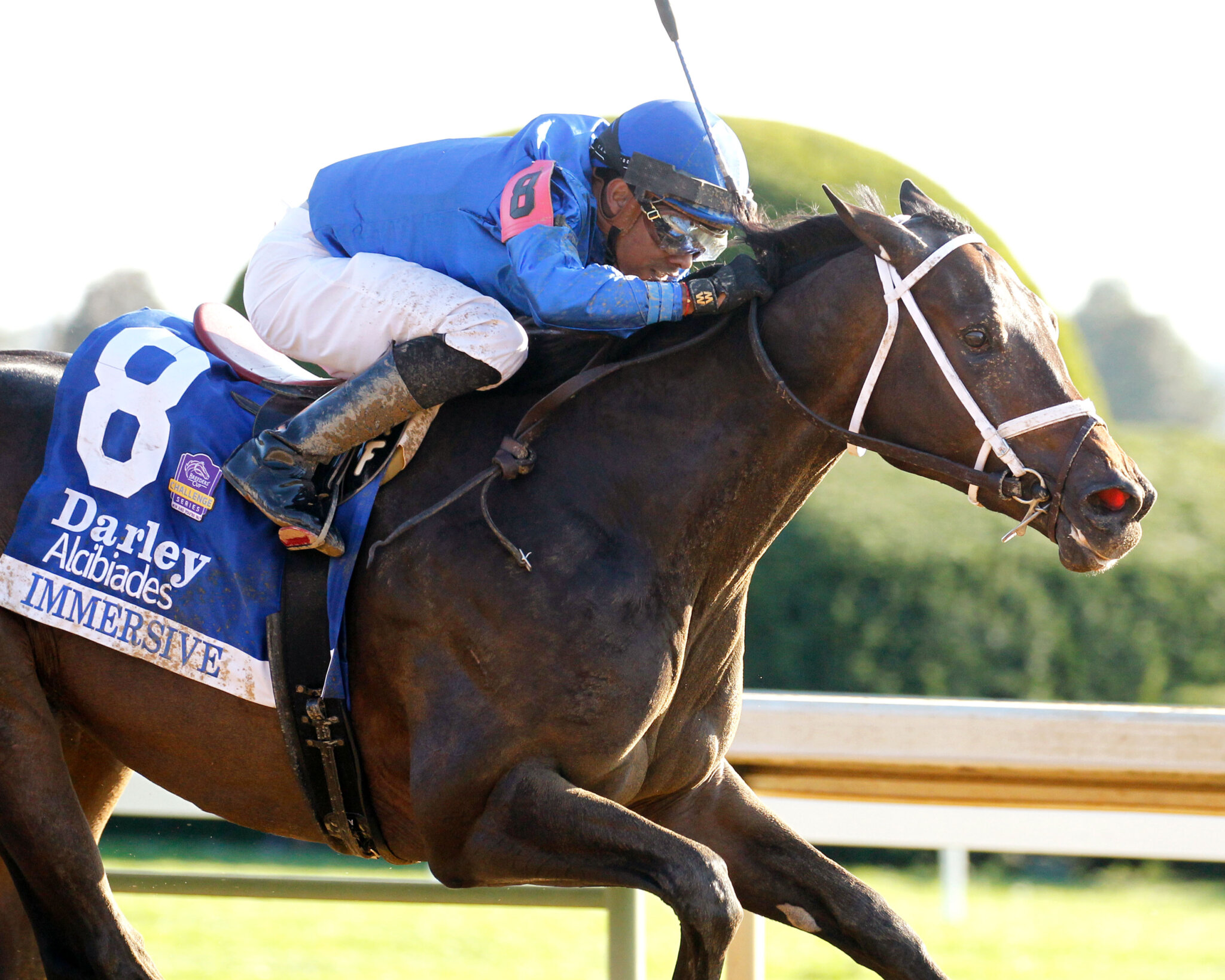 Churchill Downs News Updates: Immersive Finalizes Major Preparation for ...