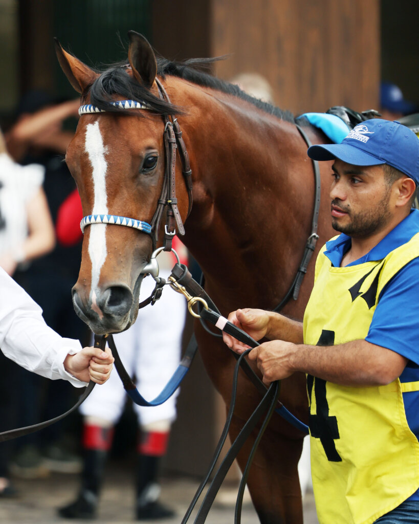 Churchill Downs Update: Kentucky Derby Winner Mystik Dan Works Toward ...